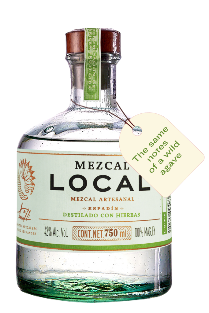 Mezcal Local